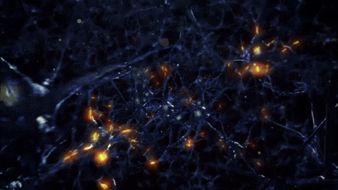 Neurotransmitters GIFs - Get the best GIF on GIPHY