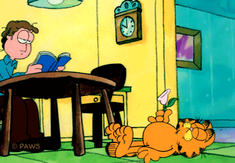 Garfield GIFs - Find & Share on GIPHY