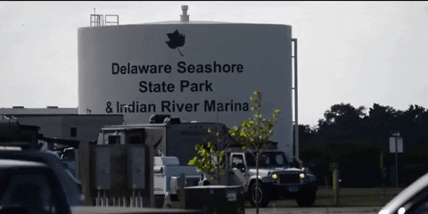 Delaware Water Gap GIFs - Get the best GIF on GIPHY