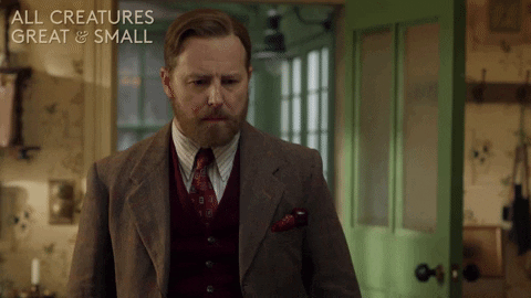 Channel 5 Yes GIF by All Creatures Great And Small - Find & Share on GIPHY