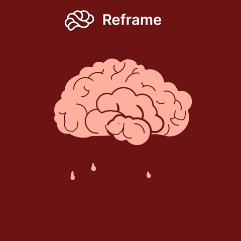 Reframe GIF - Find & Share on GIPHY
