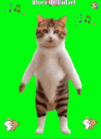 Gif Del Cachorro Más Feliz