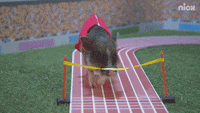 Finish Line Gif