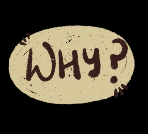 Why GIF - Find & Share on GIPHY