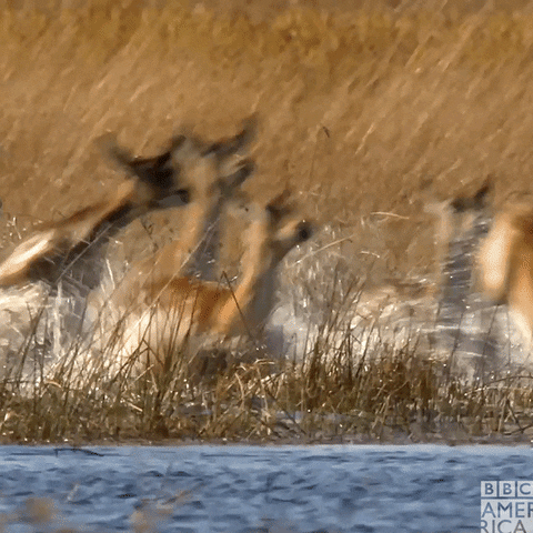 Jump Run GIF by BBC America - Find & Share on GIPHY