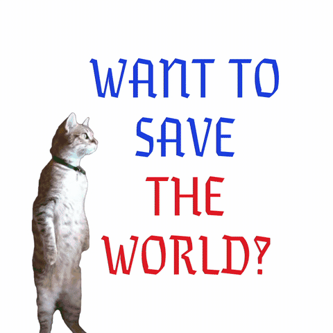 Voting Election 2020 GIF by INTO ACTION - Find & Share on GIPHY