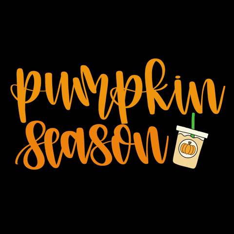 Pumpkin Spice Coffee GIF - Find & Share on GIPHY