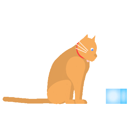Captain Marvel Cat Sticker for iOS & Android | GIPHY