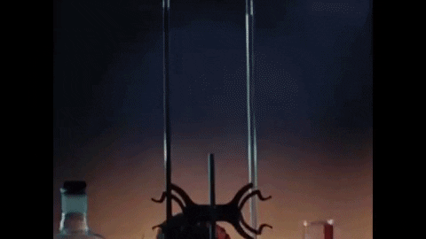 Film Loop GIF - Find & Share on GIPHY