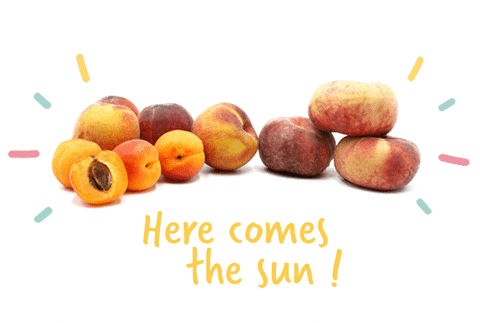 Summer Fruit Agroecology GIF by Agribio - Find & Share on GIPHY