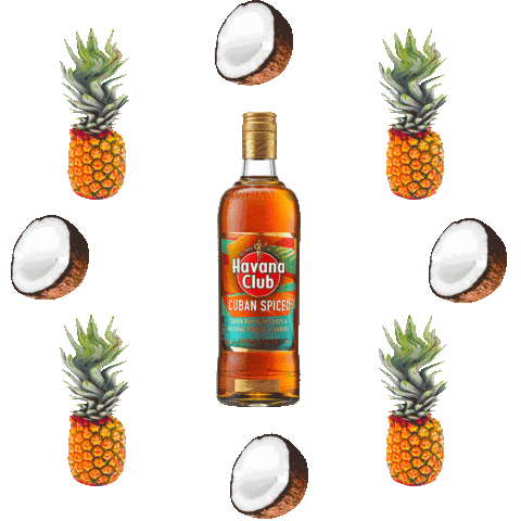 Cuban Spiced GIFs on GIPHY - Be Animated