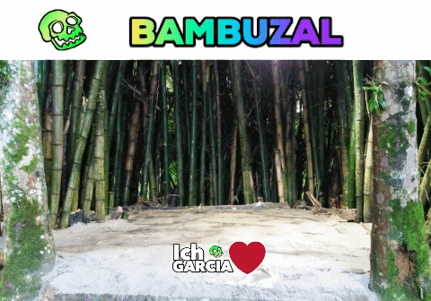 Bambuzal GIFs - Get the best GIF on GIPHY