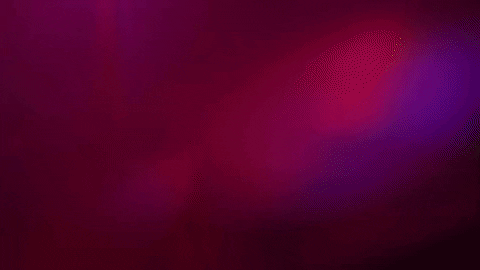 5 Every Week GIFs - Get the best GIF on GIPHY