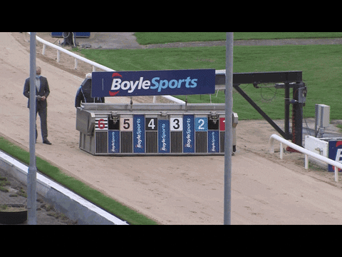 Greyhound Racing Gif