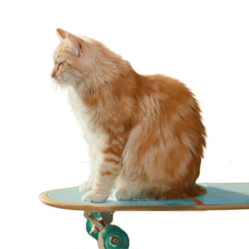 Unlimited GIFs on GIPHY - Be Animated