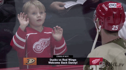 Red Wings Fan GIFs - Get the best GIF on GIPHY