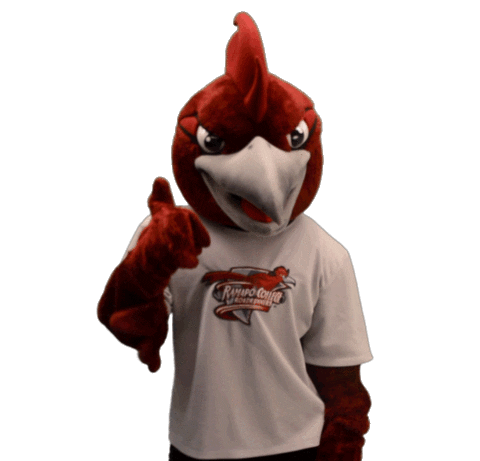 Mascot Roadrunner Sticker by Ramapo College of New Jersey for iOS ...