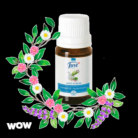 Anti Stress GIFs - Get the best GIF on GIPHY