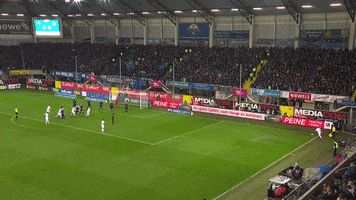 Sieg gegen Paderborn by 1. FC Köln | GIPHY