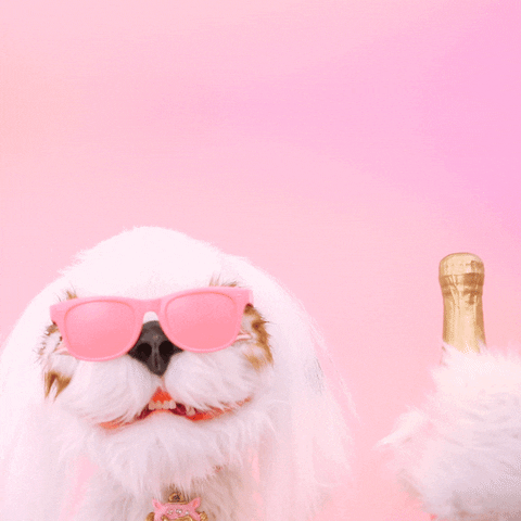 Dog Hello GIF by Ben & Julia - Find & Share on GIPHY
