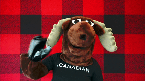 Canadian Hello GIF by choose.ca - Find & Share on GIPHY