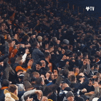 Fight Chant Gif