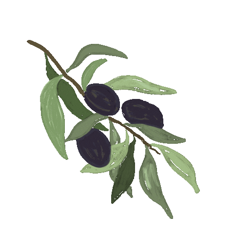 Mallorca Olives Sticker for iOS & Android | GIPHY