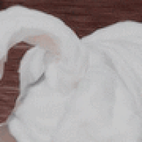 Best pairing GIFs - Primo GIF - Latest Animated GIFs