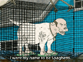 The Spaghetti Bowl GIFs - Find & Share on GIPHY