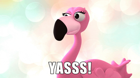 Pink Yes GIF by orientaltrading - Find & Share on GIPHY