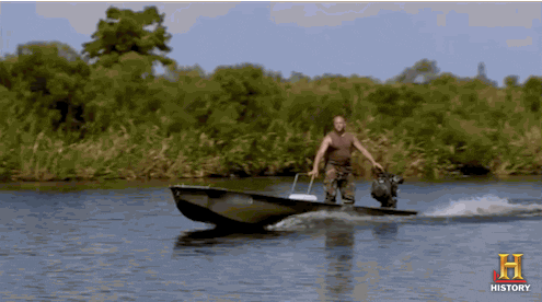 Bayou GIFs - Get the best GIF on GIPHY