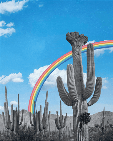 Art Collage GIFs - Get the best GIF on GIPHY