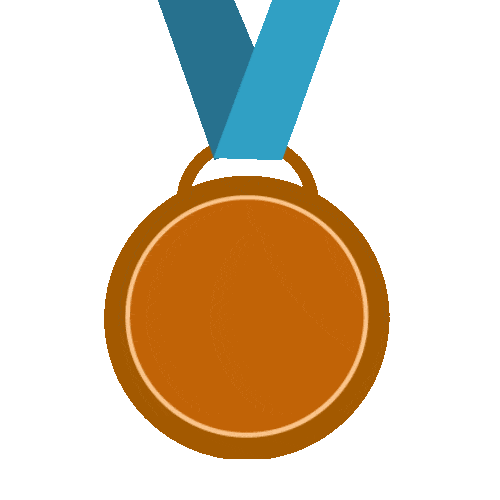Bronze Medal