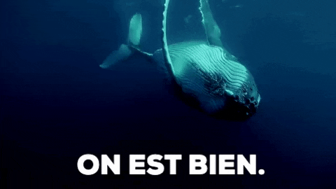 On Est Bien GIFs - Get the best GIF on GIPHY
