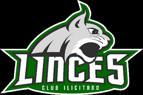 Linces GIFs - Get the best GIF on GIPHY