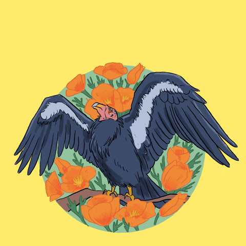 Public Lands Protect Our Environments by INTO ACTION | GIPHY