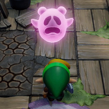 The Legend Of Zelda Links Awakening GIFs - Get the best GIF on GIPHY