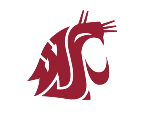 Wsu Cougars Go Cougs Sticker by WSU Pullman for iOS & Android | GIPHY