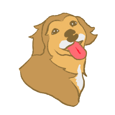 Good Boy Dog Sticker by Amazon Photos for iOS & Android | GIPHY