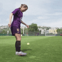 Kicking A Soccer Ball Gif