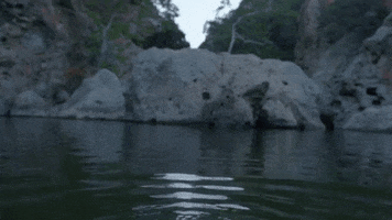 Water Refreshing GIF by SoulPancake - Find & Share on GIPHY