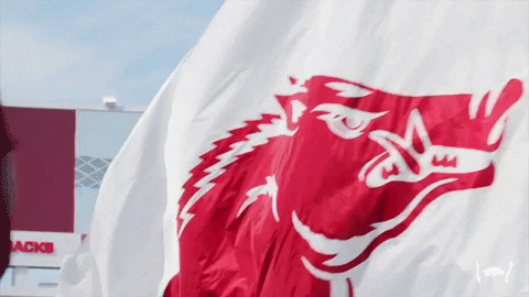 Razorback Football GIFs - Get the best GIF on GIPHY