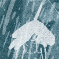 Animated Rain Puddle Gif