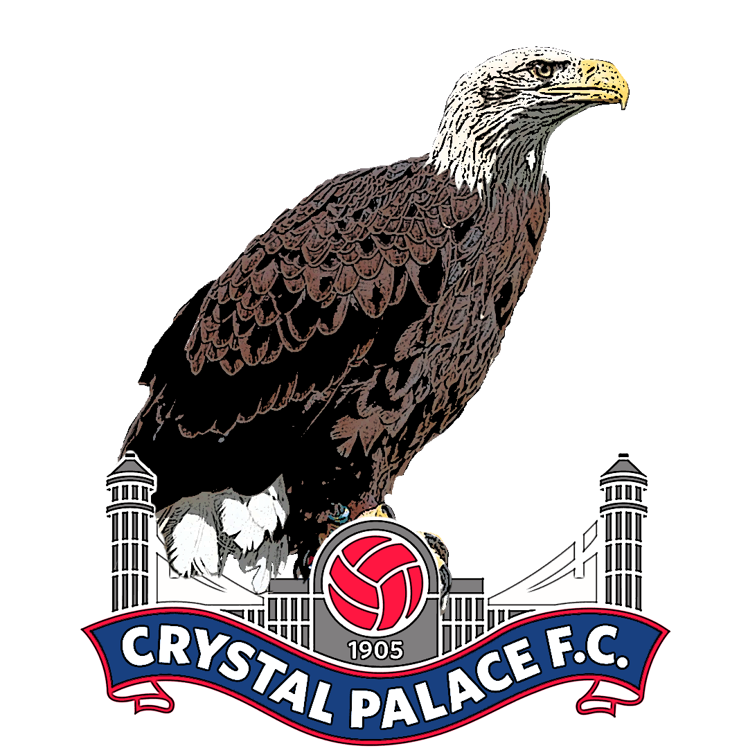 Premier League Sport Sticker by CPFC for iOS & Android | GIPHY