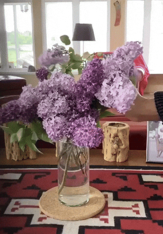 Lilacs GIFs - Get the best GIF on GIPHY