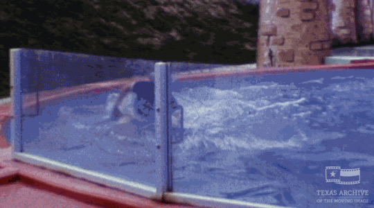 Seven Seas GIFs - Get the best GIF on GIPHY