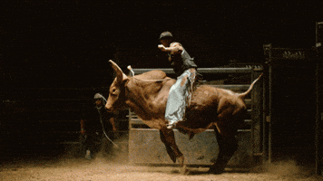 Rodeo GIFs - Find & Share on GIPHY