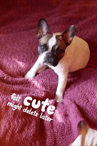 Might-delete GIFs - Get the best GIF on GIPHY