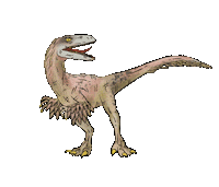 Velociraptor Gifs On Giphy Velociraptor Stickers Find & Share On