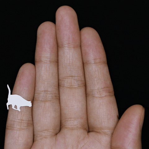 Paper Artwork GIFs - Get the best GIF on GIPHY